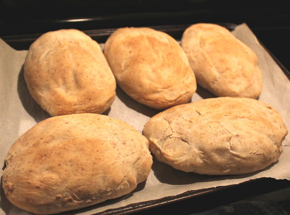 Panini Buns Cookbook Hub Cookbook Hub Panini Buns Cookbook Hub Cookbook Hub